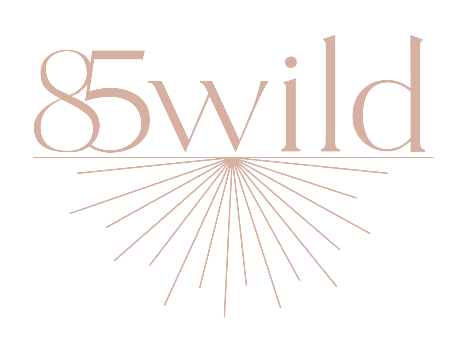 85 Wild | Sophisticated Women's Clothing Boutique based in California ...